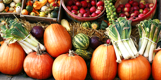 Enjoy fall fun and seasonal foods - Mather Hospital